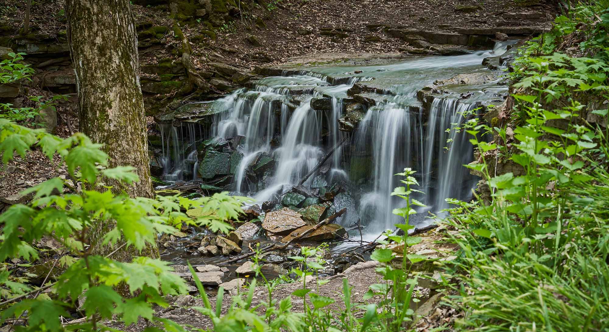 Town of Lockport, NY – A Community that Cares